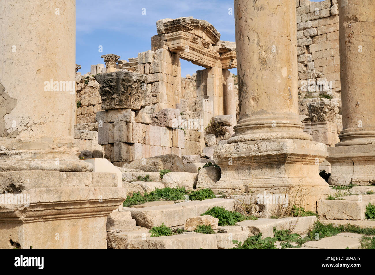 Cardo Maximus column street in Jerash Jordan Stock Photo - Alamy