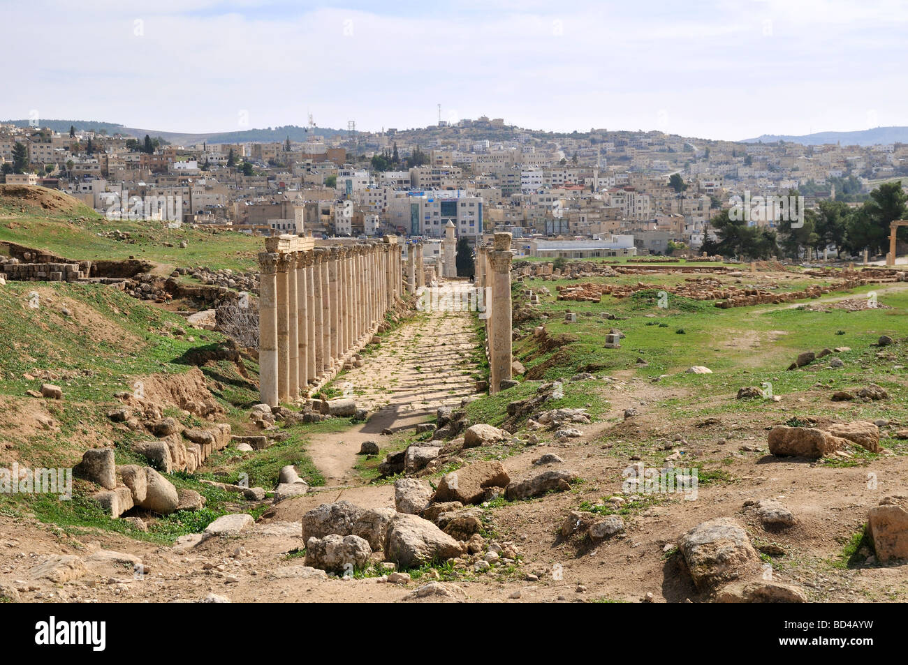 Cardo Maximus column street in Jerash Jordan Stock Photo - Alamy