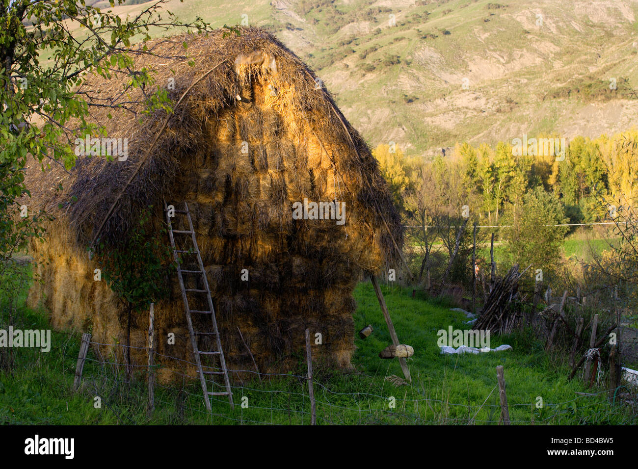 Traditional way of Hay Storage Tuscany Italy Stock Photo - Alamy