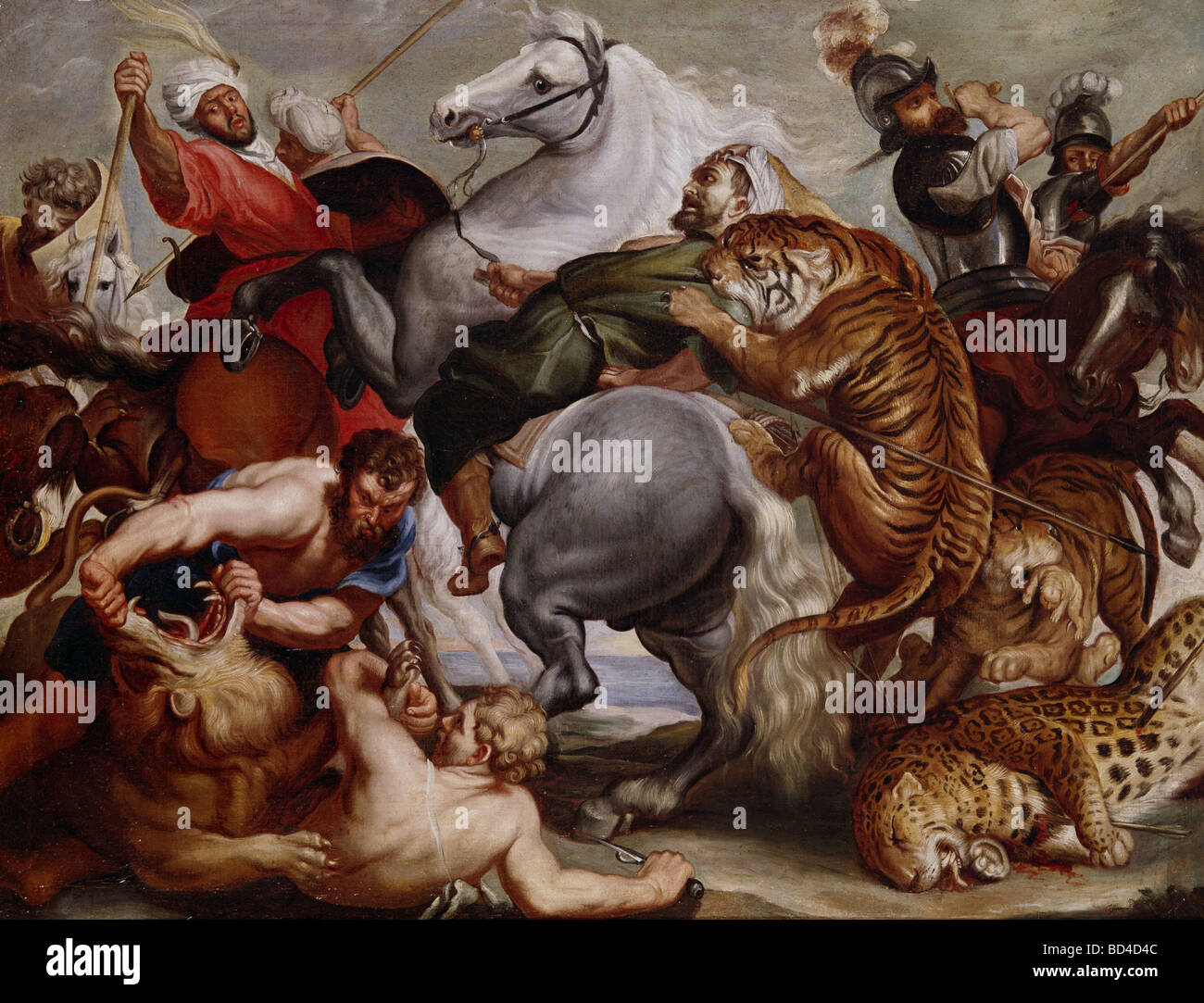 The Tiger Hunt Rubens High Resolution Stock Photography and Images - Alamy