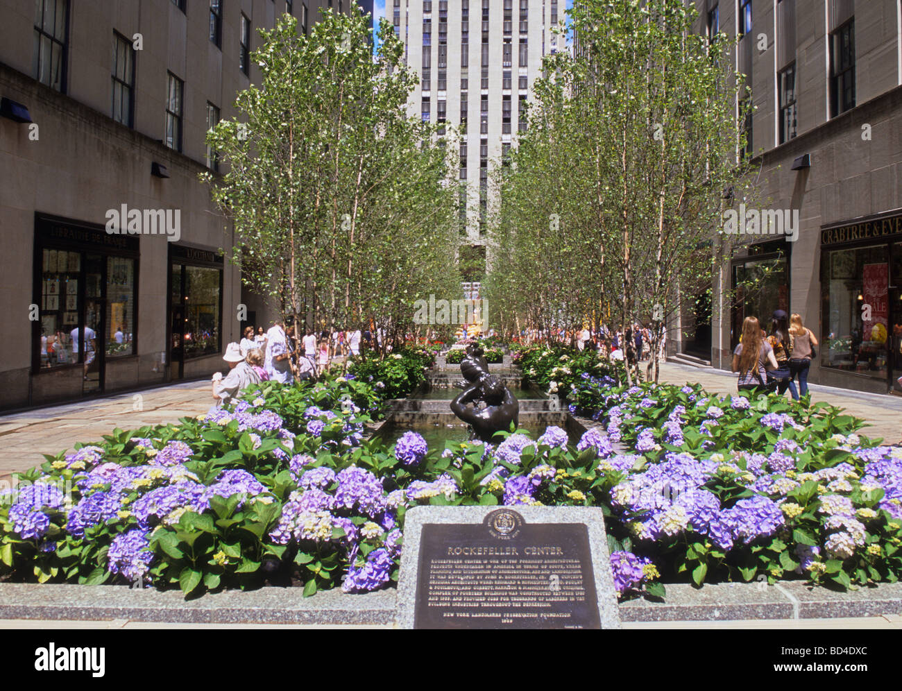 New York City Rockefeller Center. Channel Gardens with blue hydrangea ...