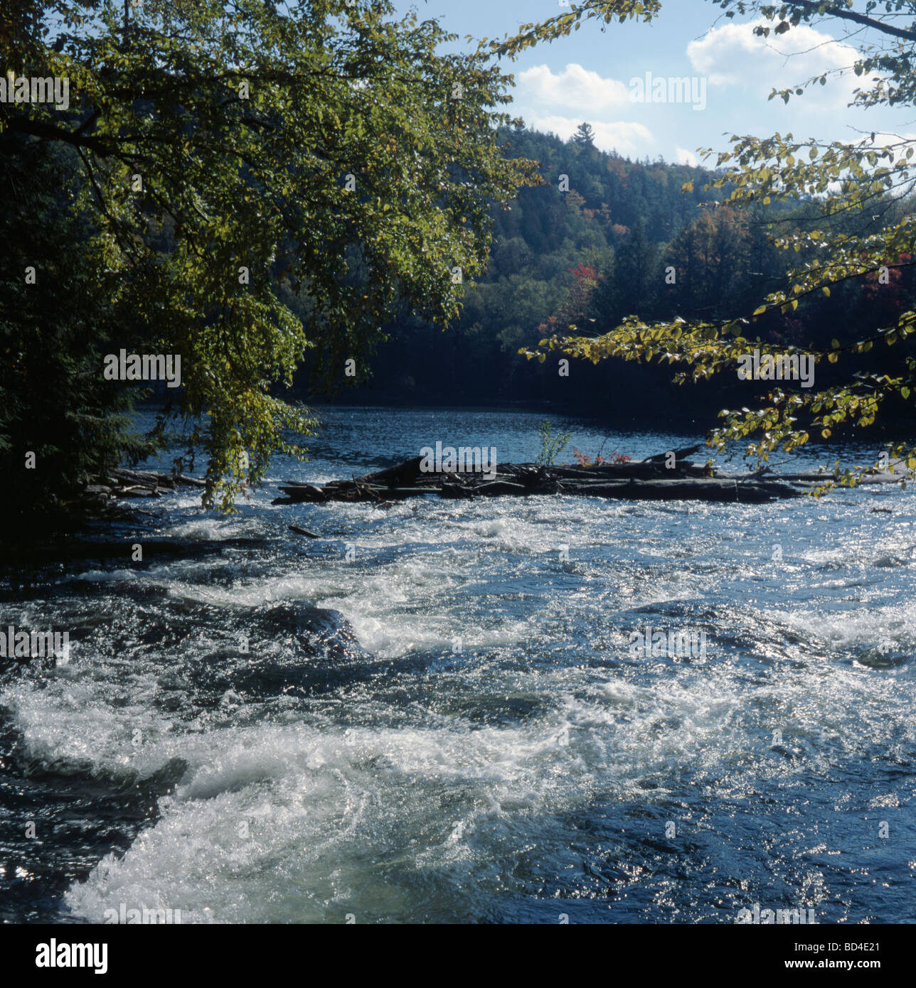 Crab River Rapids, Haliburton, Ontario, Canada in Summer with Blue ...