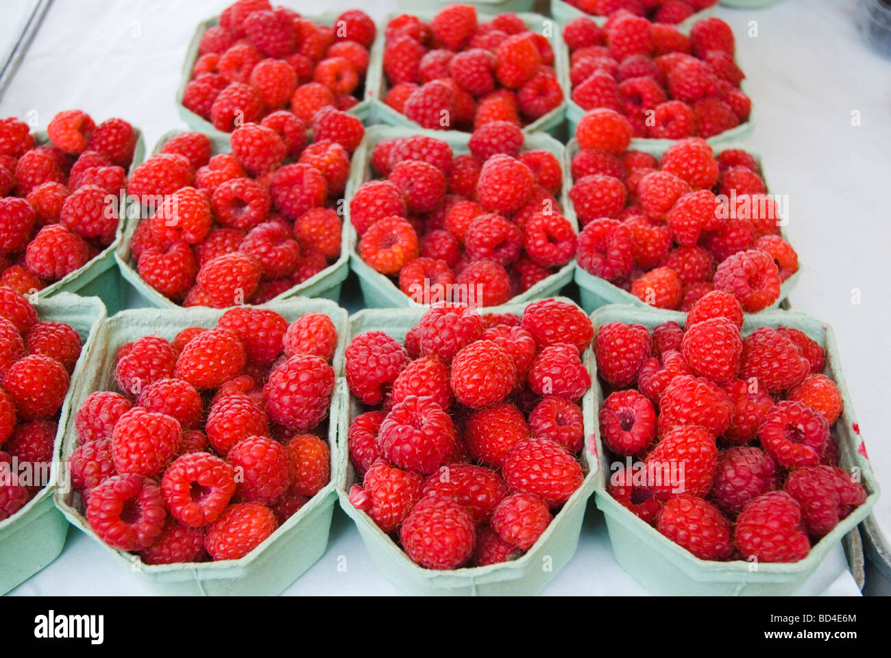 Swedish rasperries for sale at Kungstorget square in central Gothenburg ...
