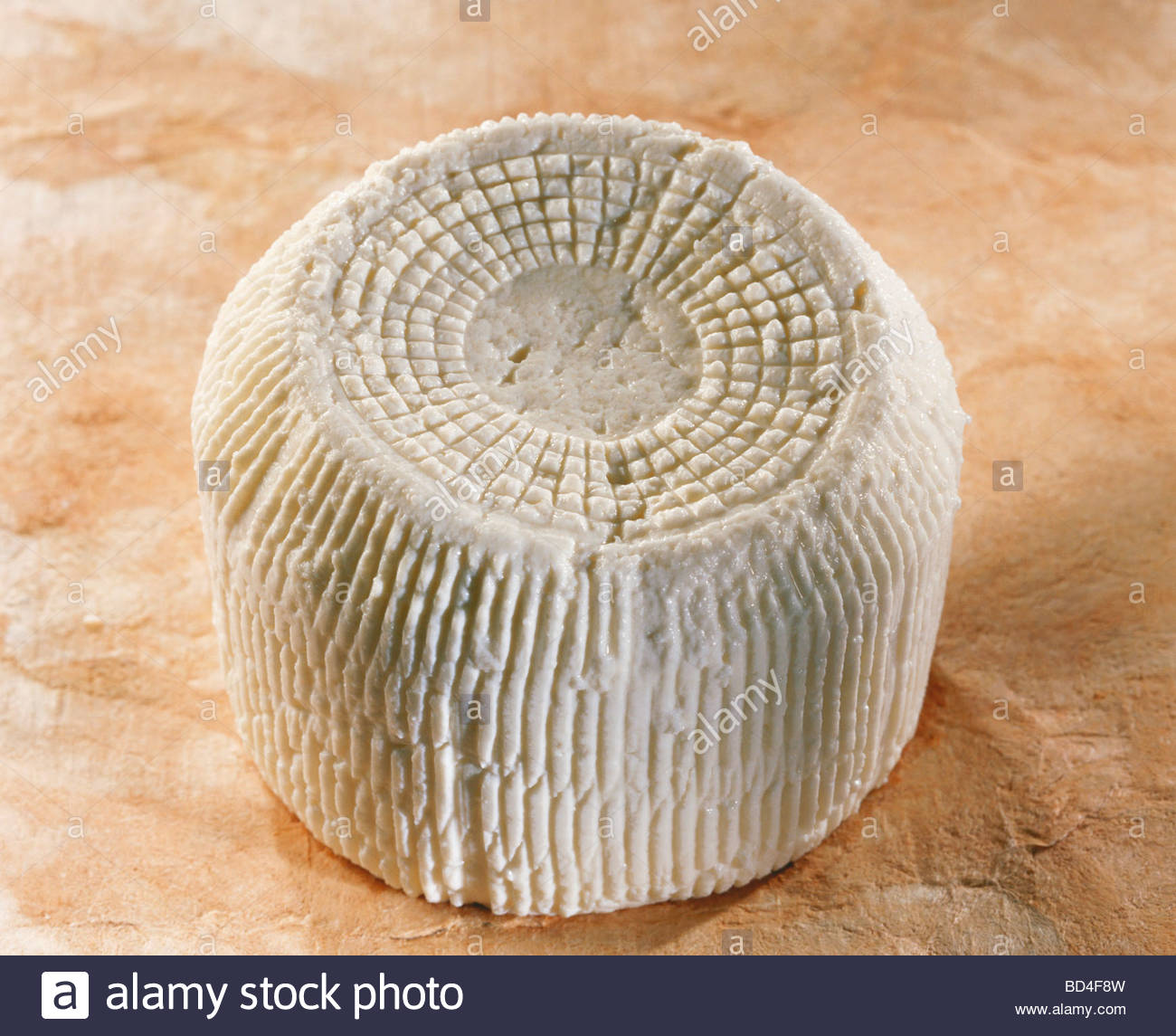 Corsican Cheese Stock Photos & Corsican Cheese Stock Images - Alamy