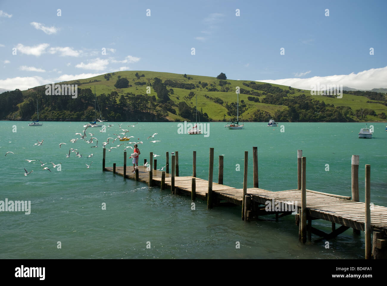Wooden pier in queenstown hi-res stock photography and images - Alamy