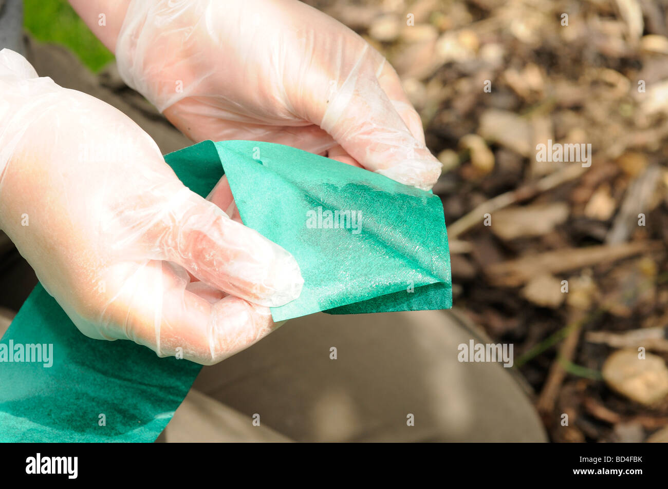 Codling hi-res stock photography and images - Alamy