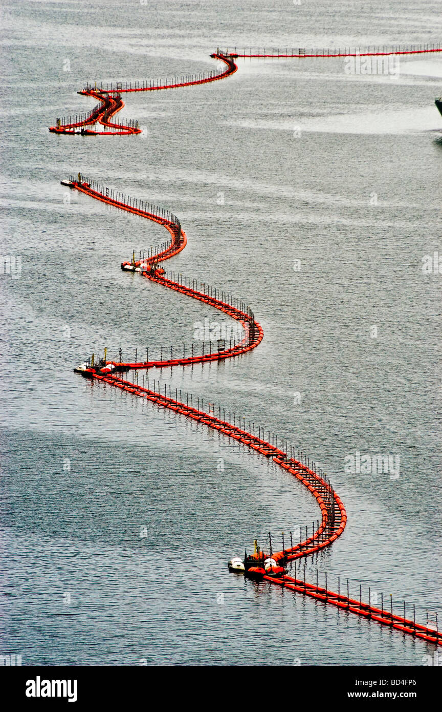 Ships docked at Canadian Forces Base Halifax, CFB, Nova Scotia, Canada ...
