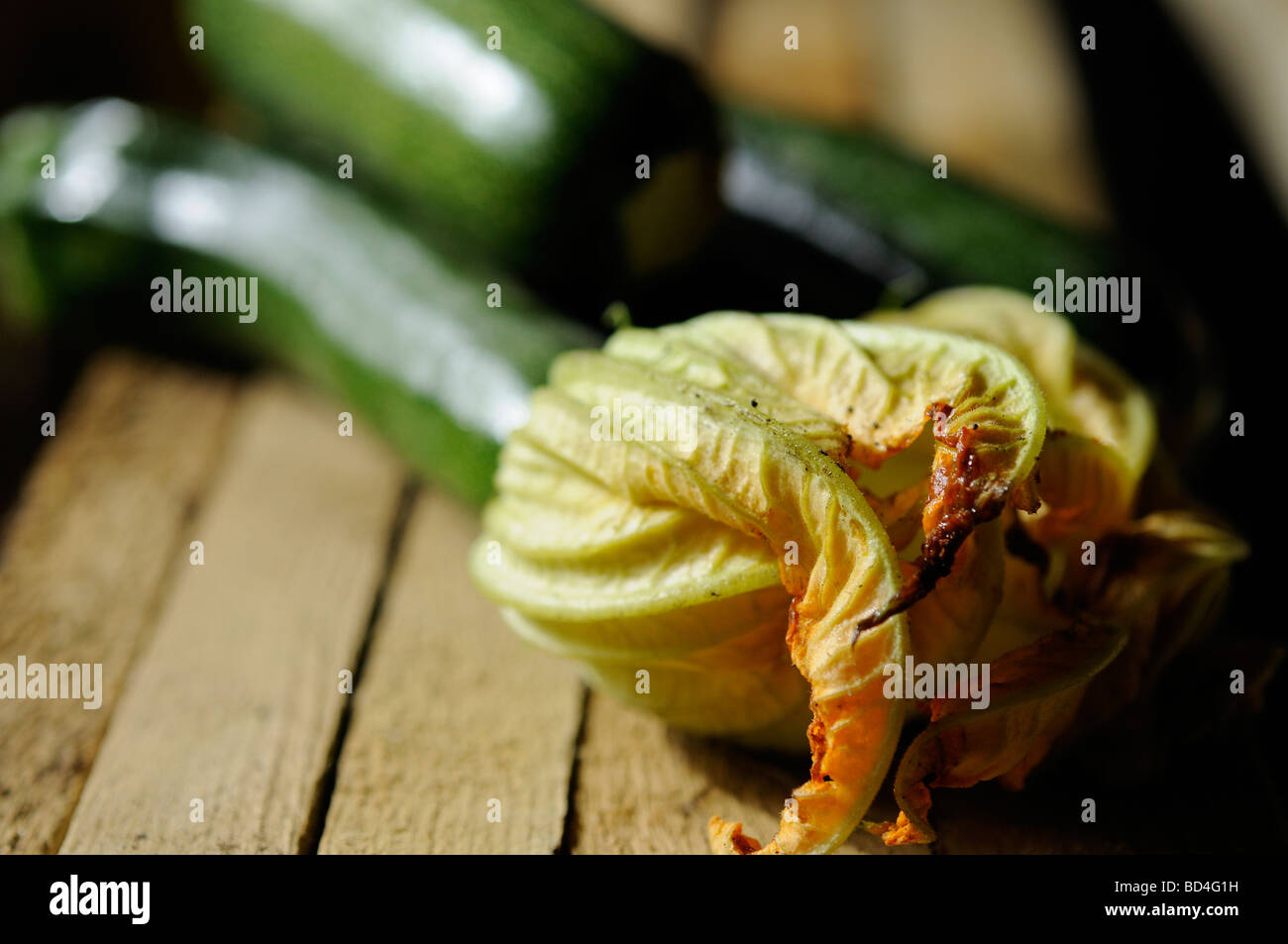 Freshly cut Courgette Stock Photo - Alamy