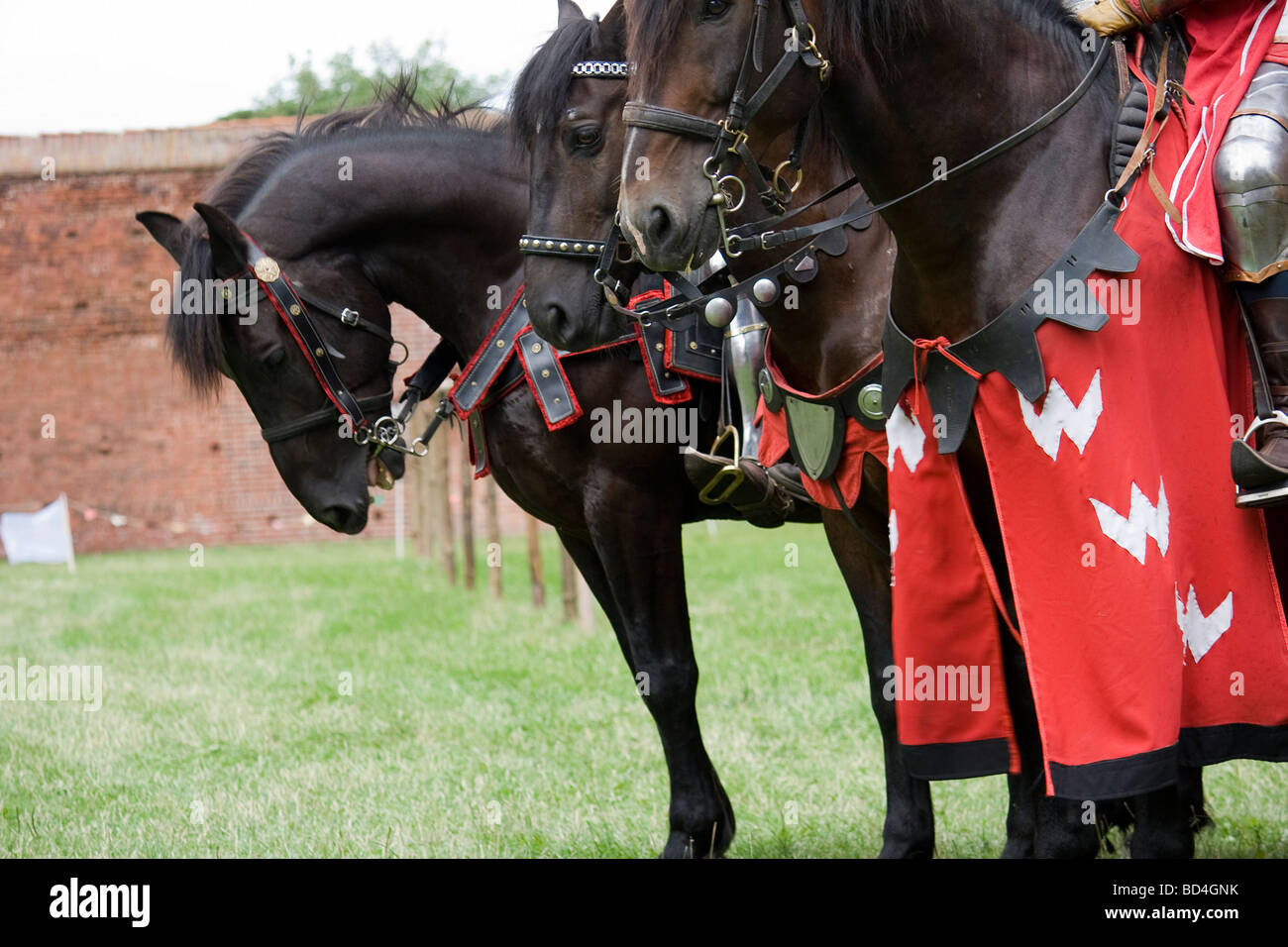 Cavalry horse medieval hi-res stock photography and images - Alamy