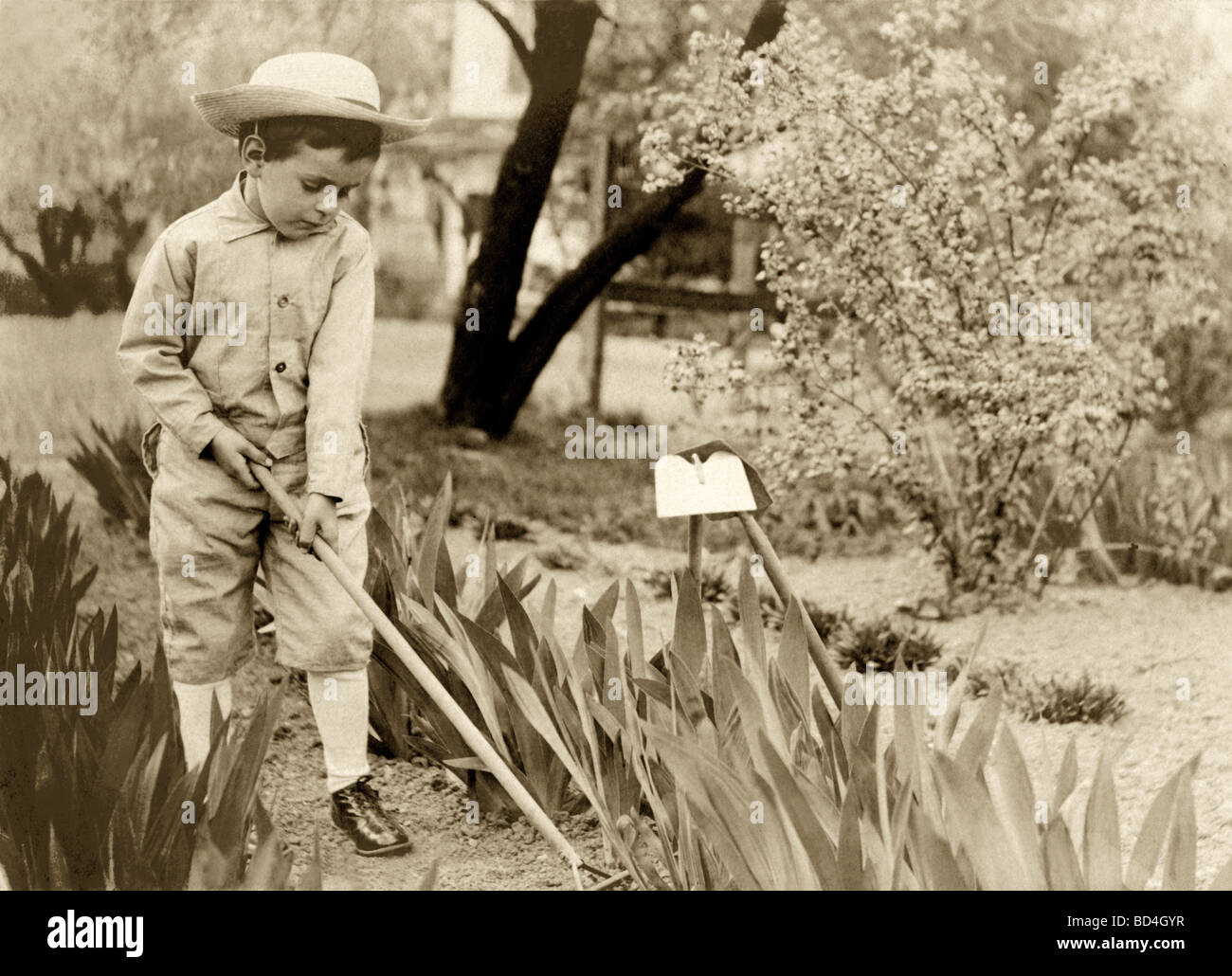 Little Boy Gardener Working in Garden Stock Photo - Alamy