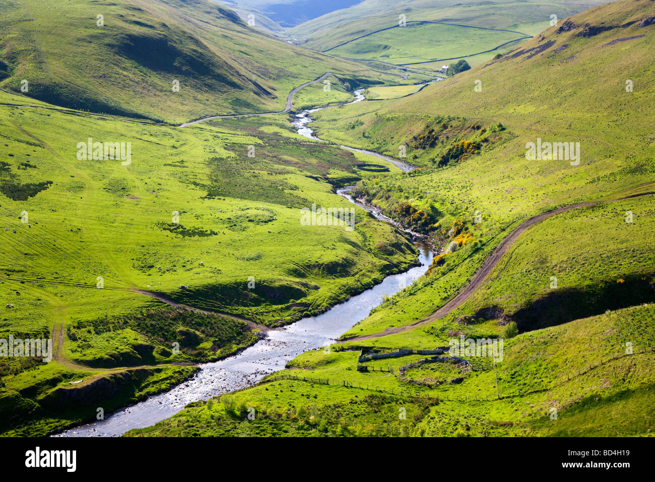 River Coquet Upper Coquetdale Northumberland England Stock Photo - Alamy
