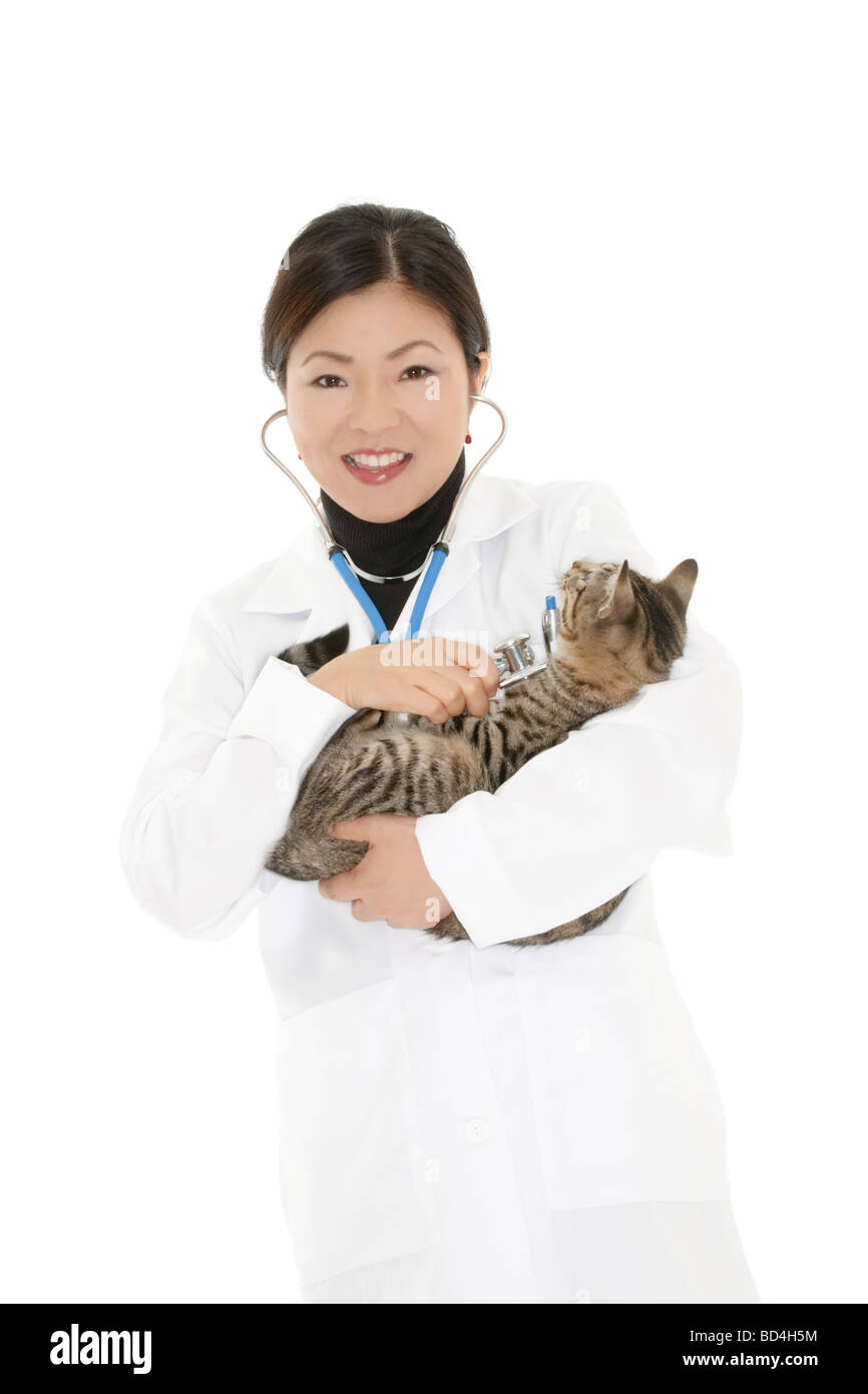 Beautiful Asian woman Veterinarian examining a kitten Stock Photo - Alamy