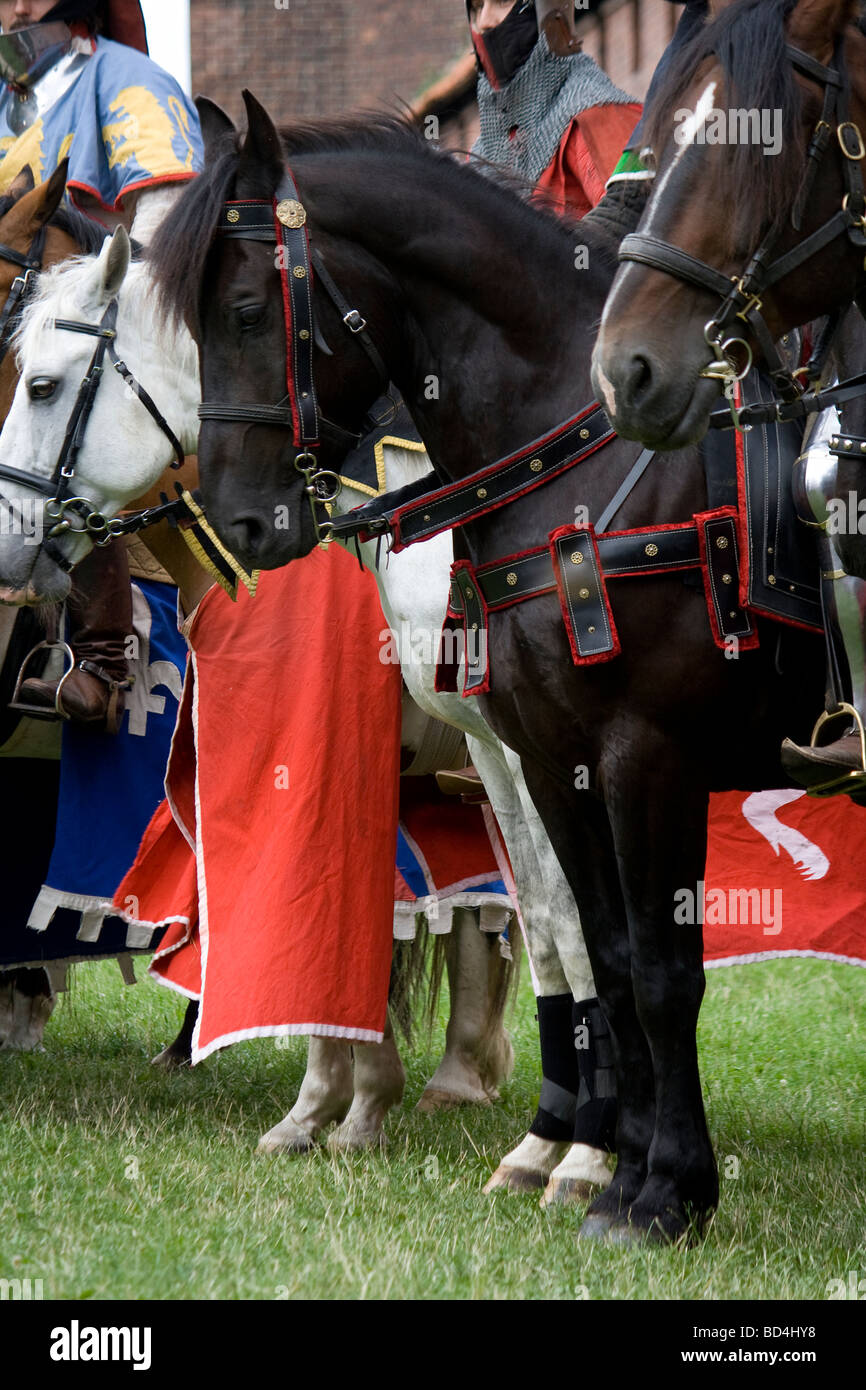 Medieval war horse hi-res stock photography and images - Alamy