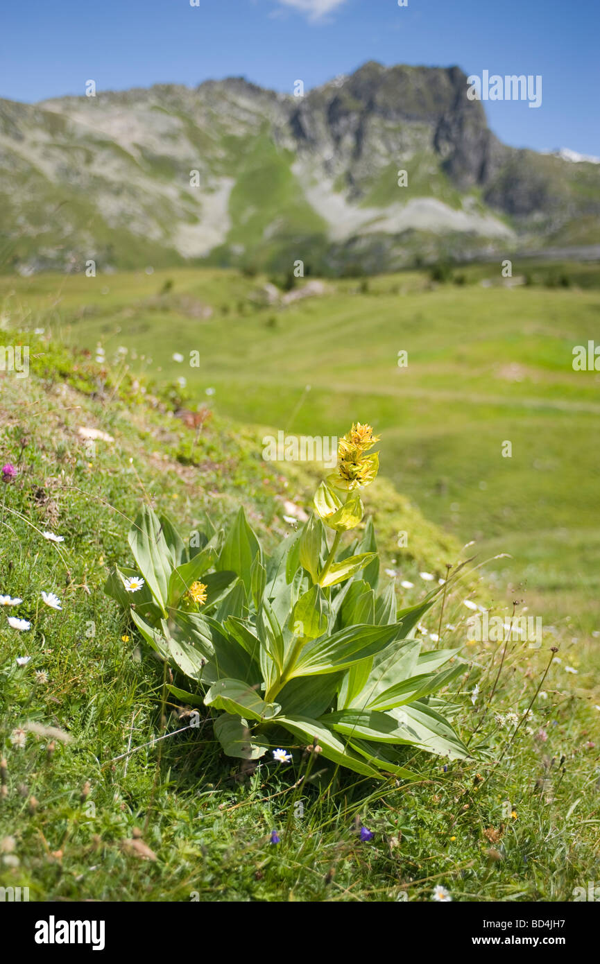Tarentaise alps hi-res stock photography and images - Alamy