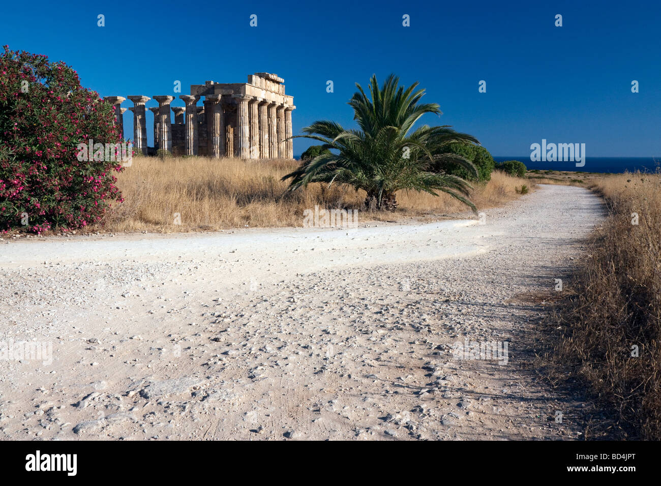 Temple E at Selinunte, Sicily, viewed from the northwest Stock Photo ...
