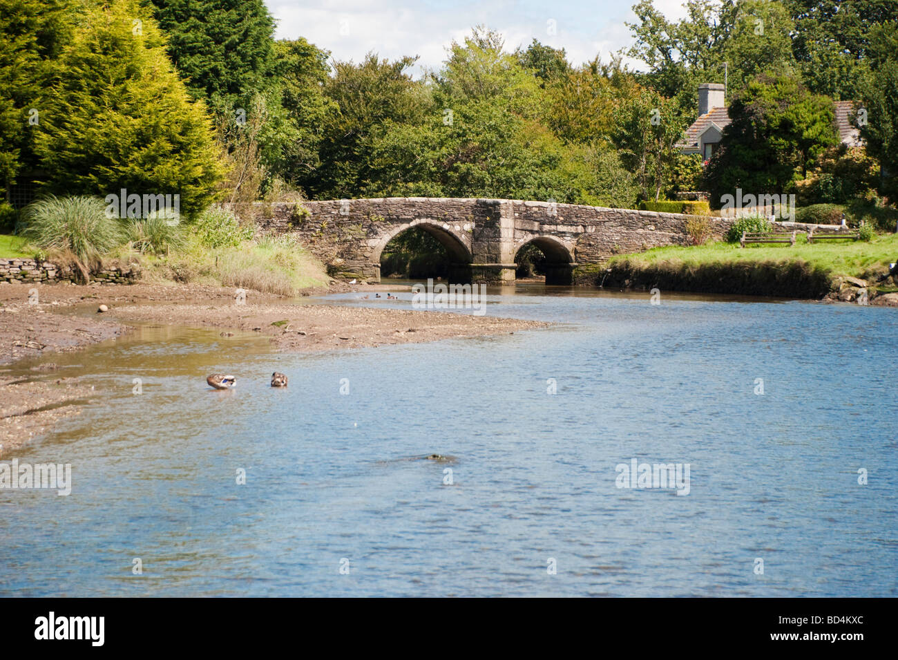 Views of Lerryn Cornwall Stock Photo - Alamy