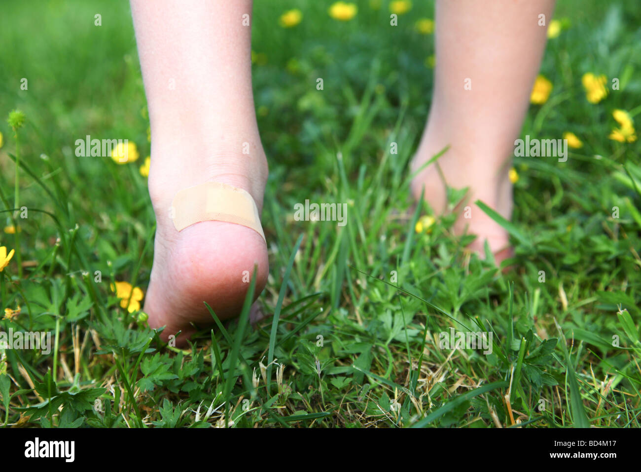 bandaid on childs feet Stock Photo - Alamy