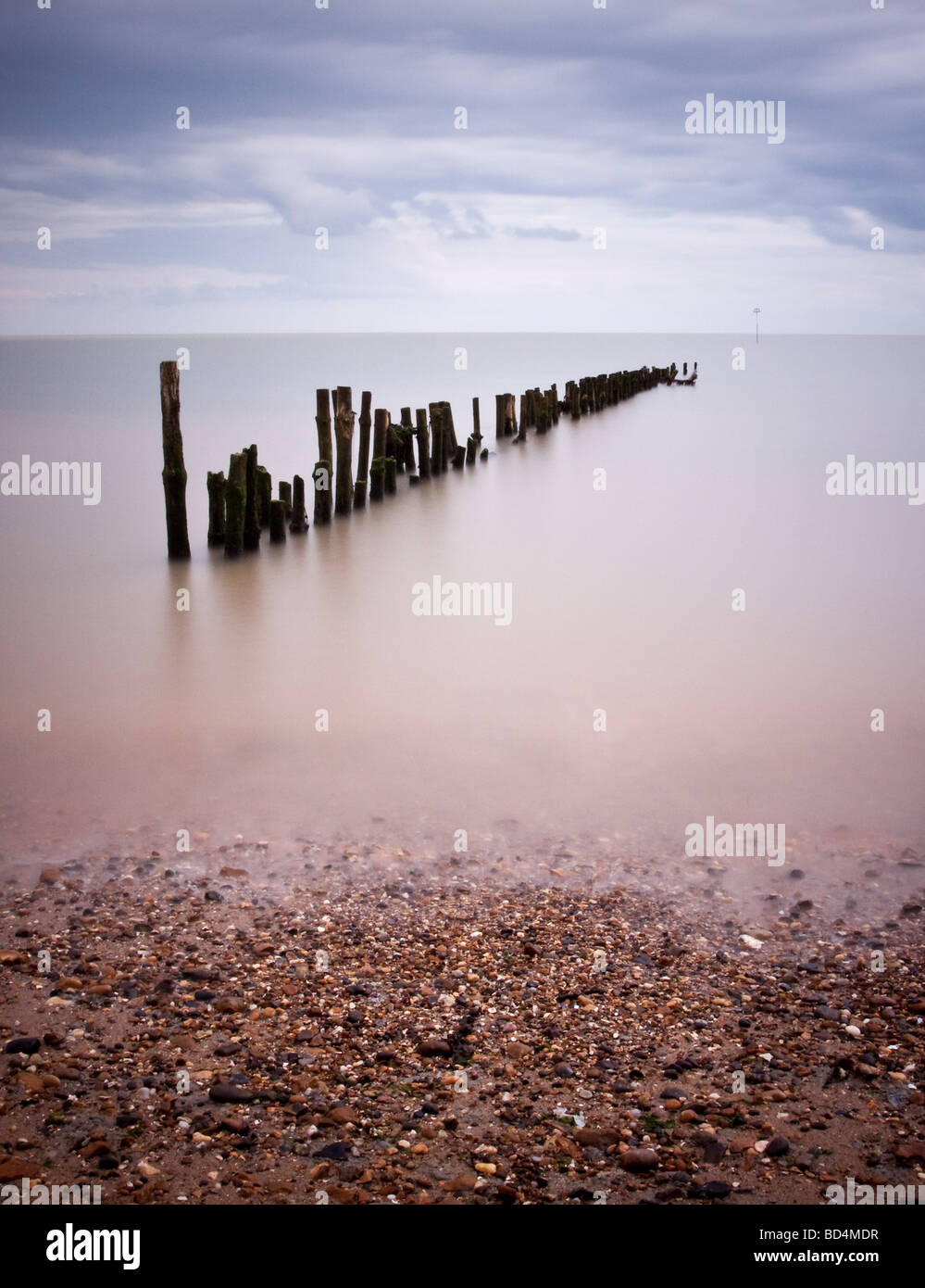 Groynes, sea defenses at East Mersea, Mersea Island, Essex Stock Photo ...