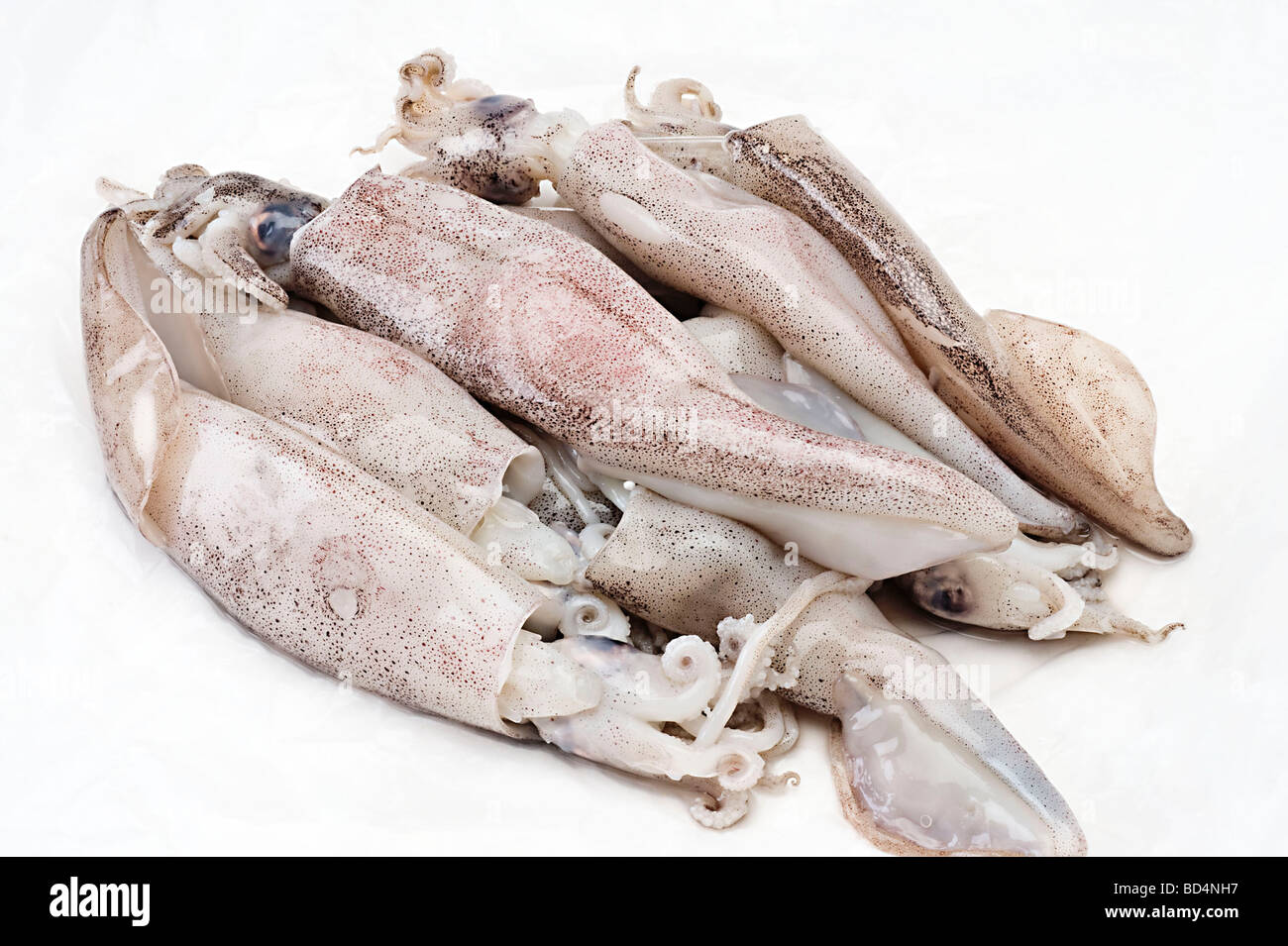 group of died squid Stock Photo - Alamy