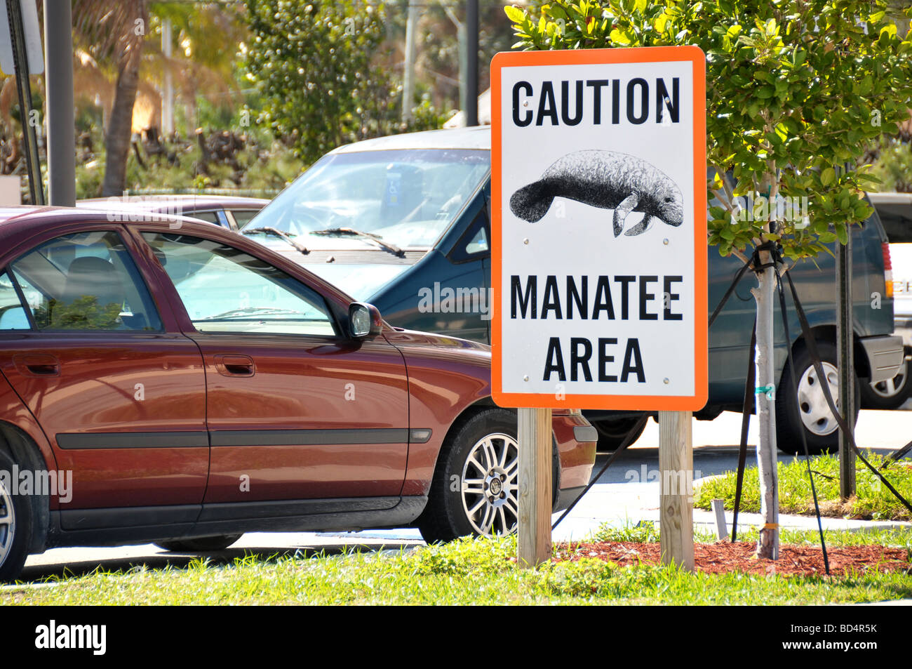 Manatee warning sign in Florida Stock Photo - Alamy