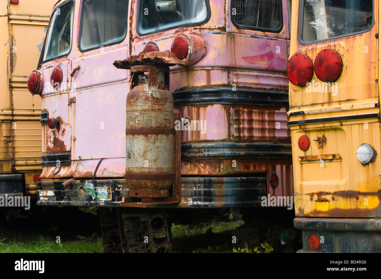 Pink buses hi-res stock photography and images - Alamy