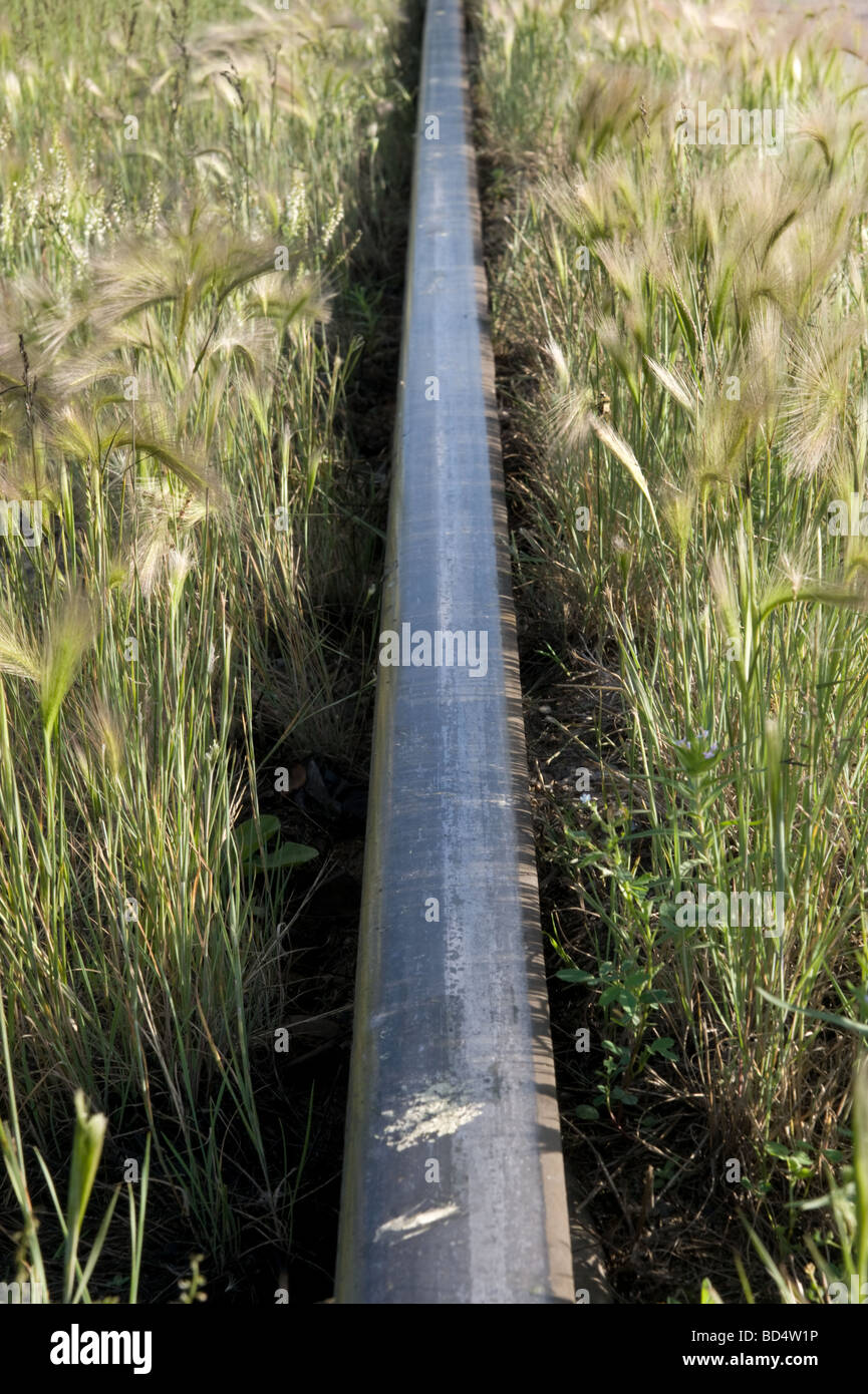 Main line railway track through Jasper, Alberta. Surrounded by grasses ...