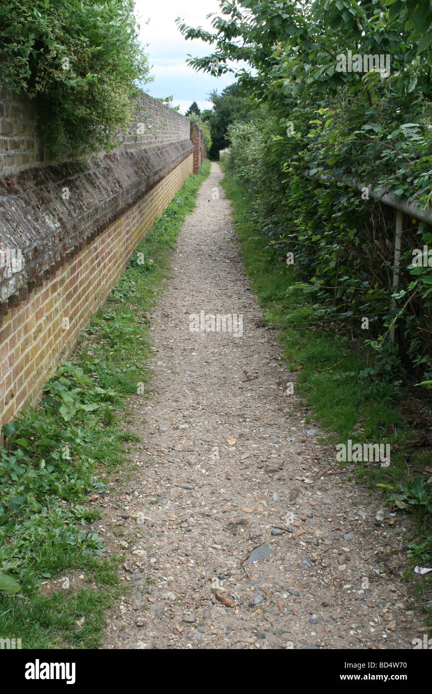 Narrow garden path hi-res stock photography and images - Alamy
