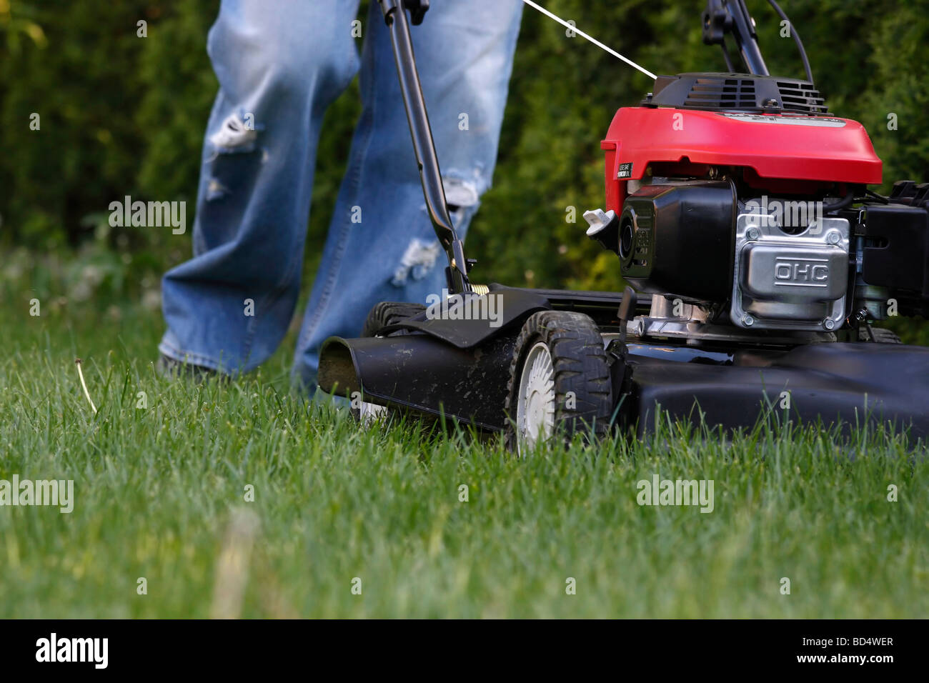 Man using lawn mower High Resolution Stock Photography and Images - Alamy