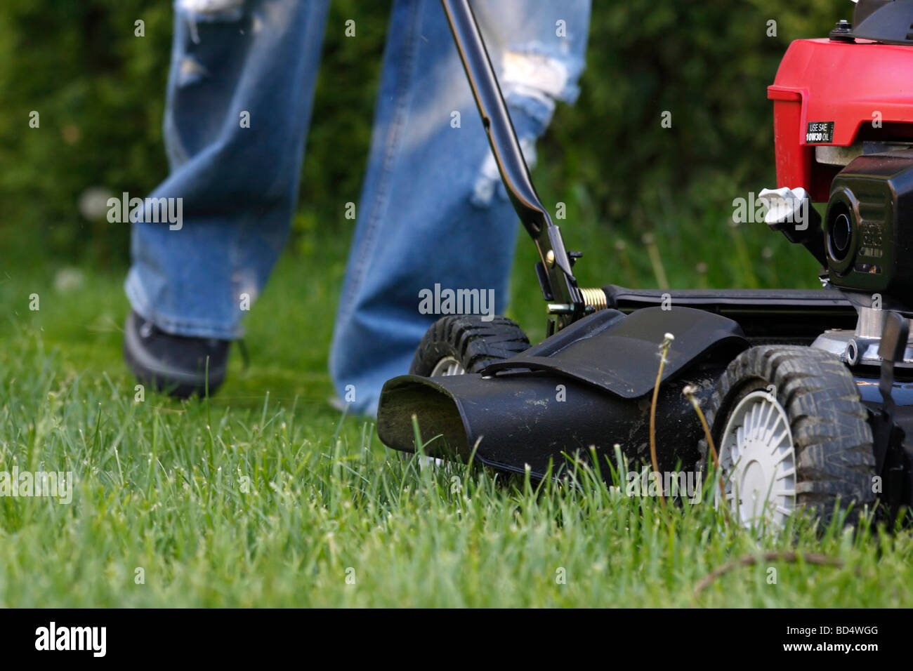 A man using lawnmower lawn mower engine mowing on a garden close up ...