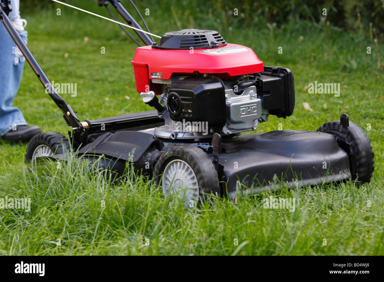 A man using lawnmower lawn mower engine mowing in a garden close up closeup in USA US from above ...