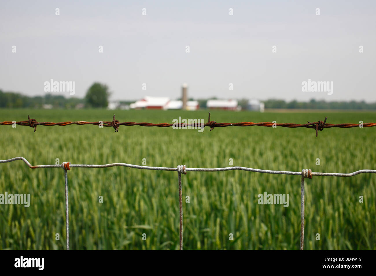 Agriculture farm wire barn cereals farm farming fence field landscape ...