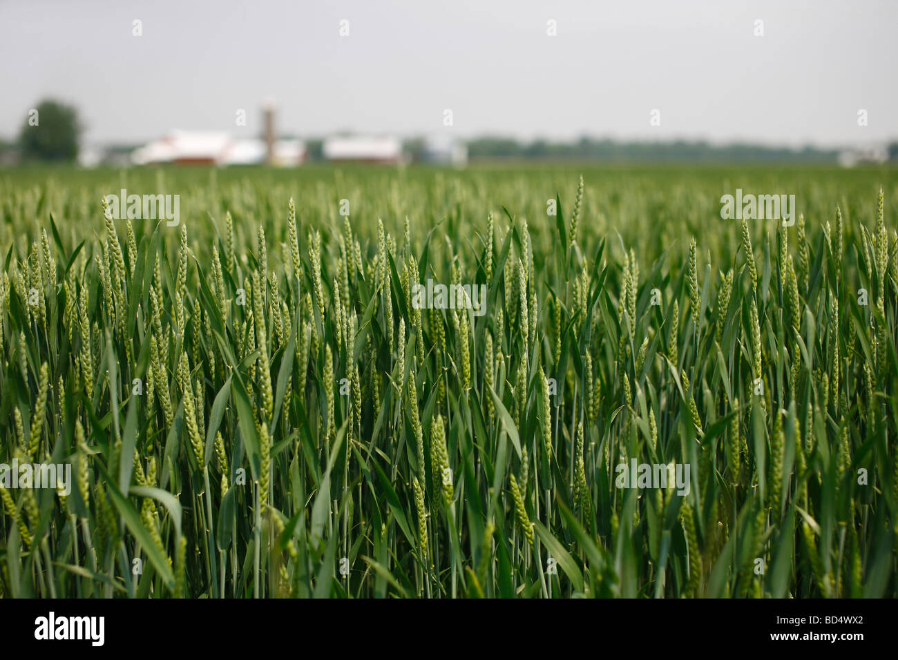 Agriculture farming ohio farm hi-res stock photography and images - Alamy