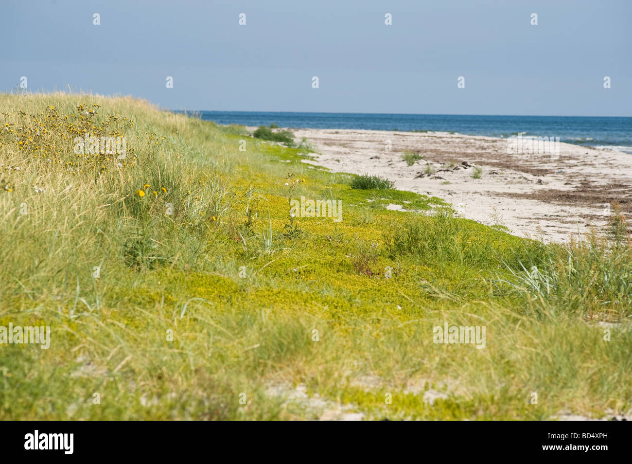 landscape, Denmark Læsø Stock Photo - Alamy