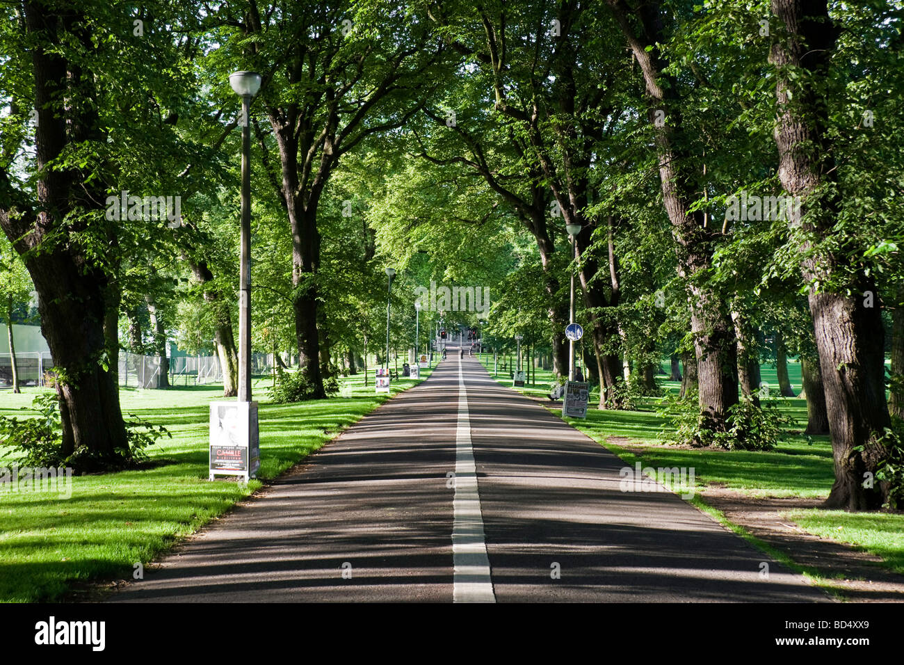 A quiet morning view of Edinburgh's Middle Meadow Walk Stock Photo - Alamy