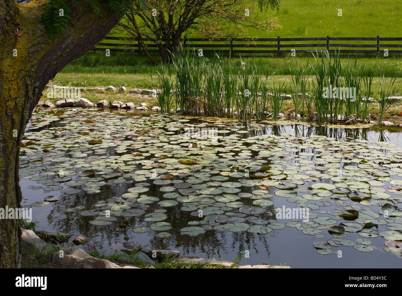 American village life hi-res stock photography and images - Alamy