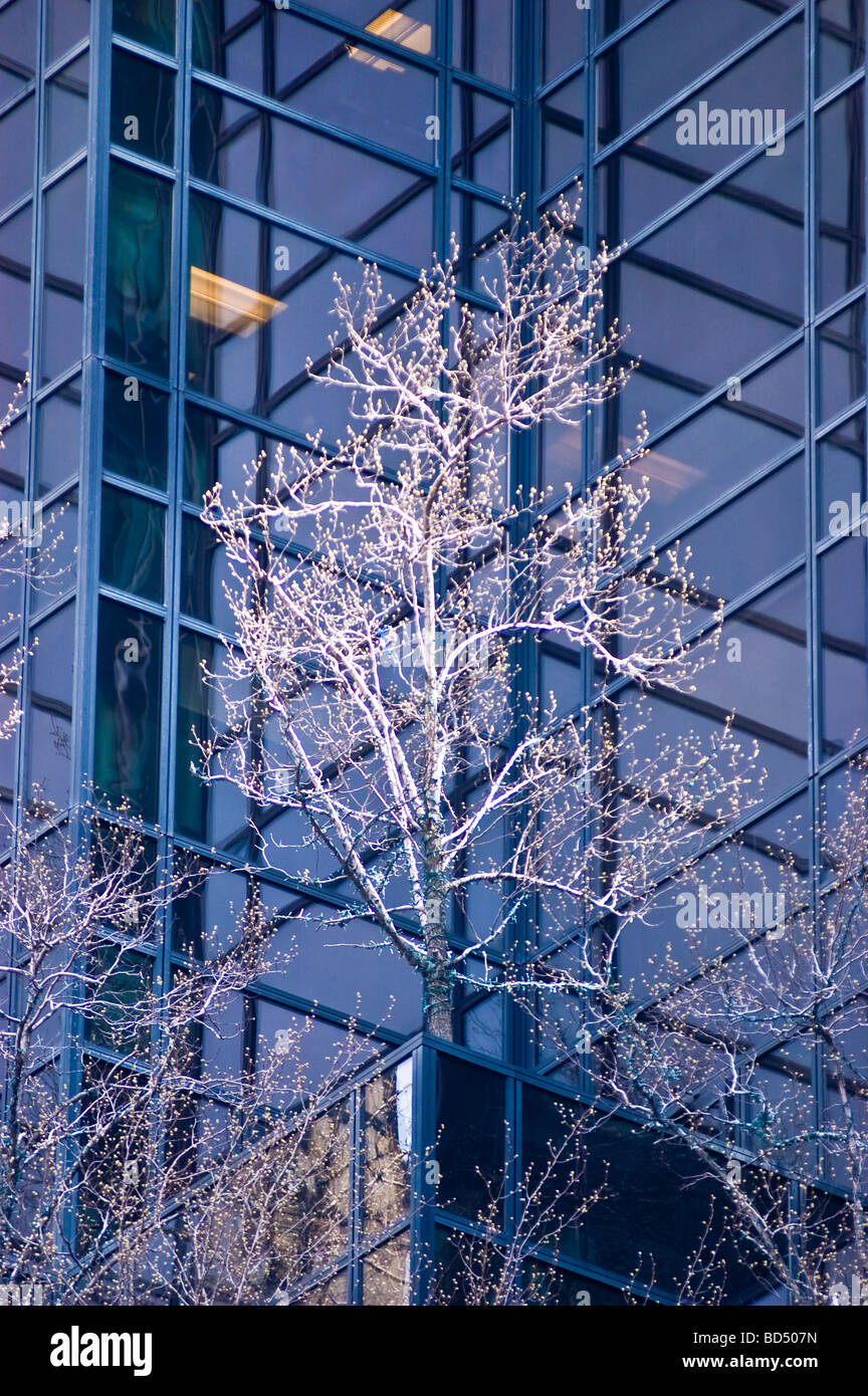 Trump tower trees manhattan hi-res stock photography and images - Alamy