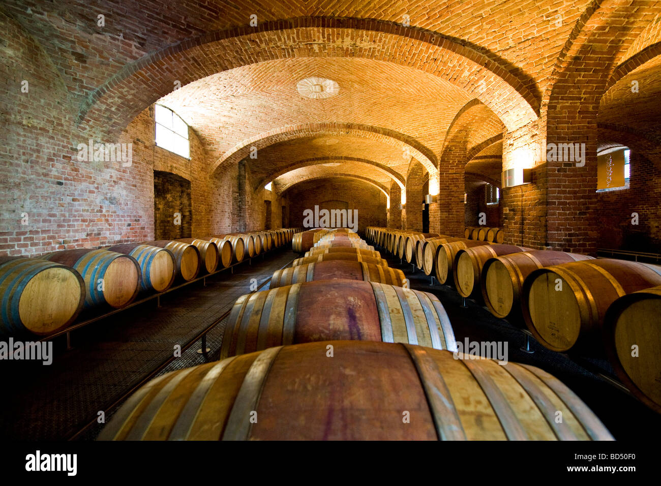 langhe province of cuneo san cassiano alba ceretto cellars Stock Photo ...
