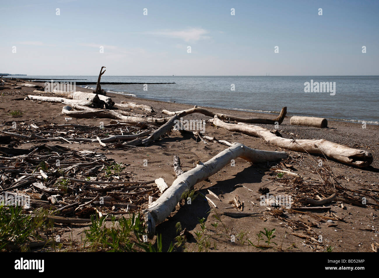 Lake Erie Polluted Beaches Bathing Beaches | Monroe County, MI