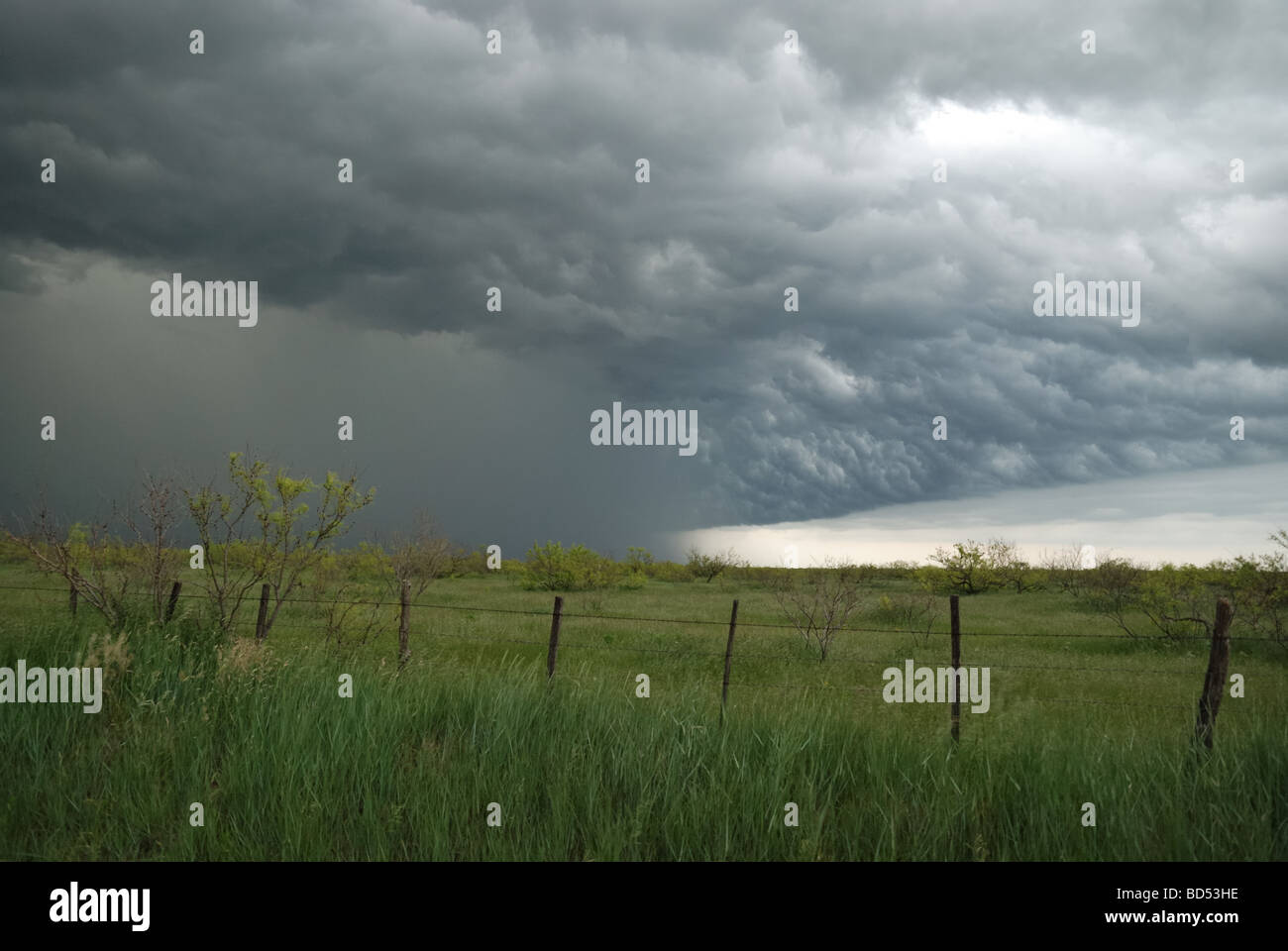 Severe thunderstorm mammatus clouds and rain shaft on prairie Texas ...