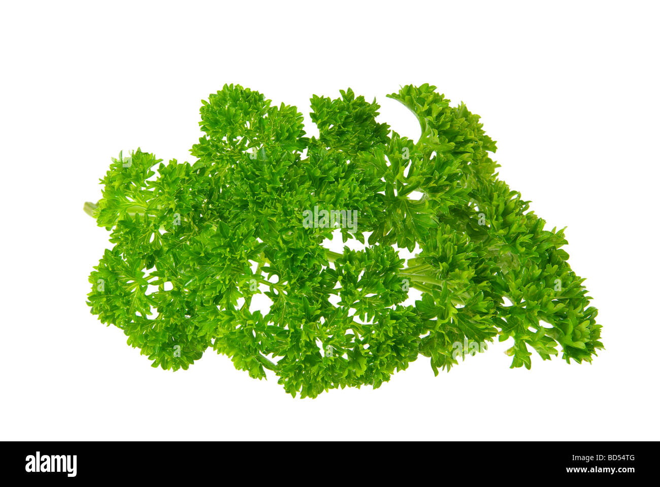 Petersilienbund hi-res stock photography and images - Alamy