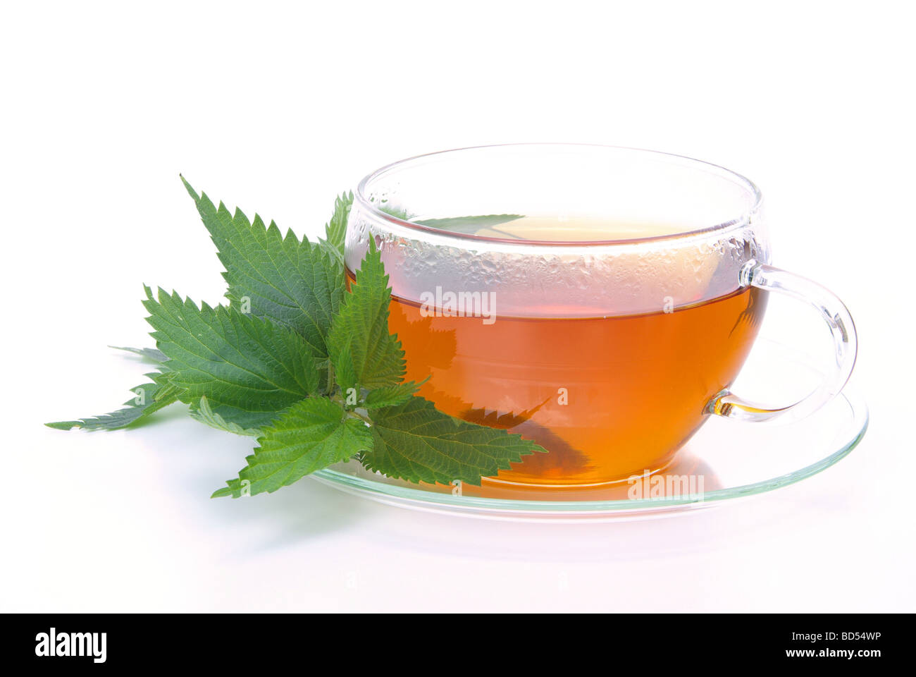 Infusion of nettle hi-res stock photography and images - Alamy