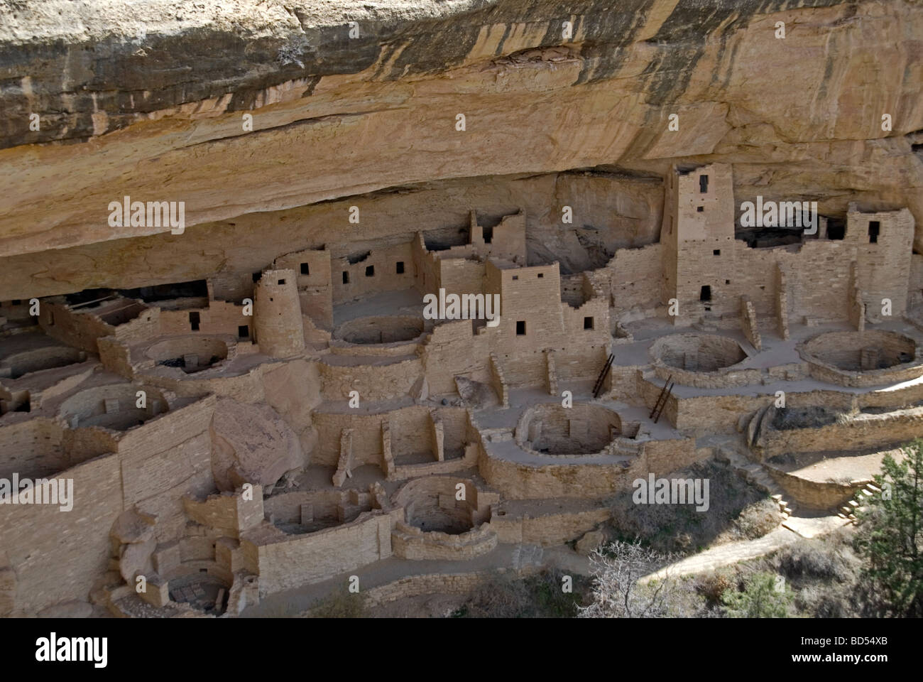 Peubloan cave houses in the Mesa Verde National Park, Colorado Stock ...