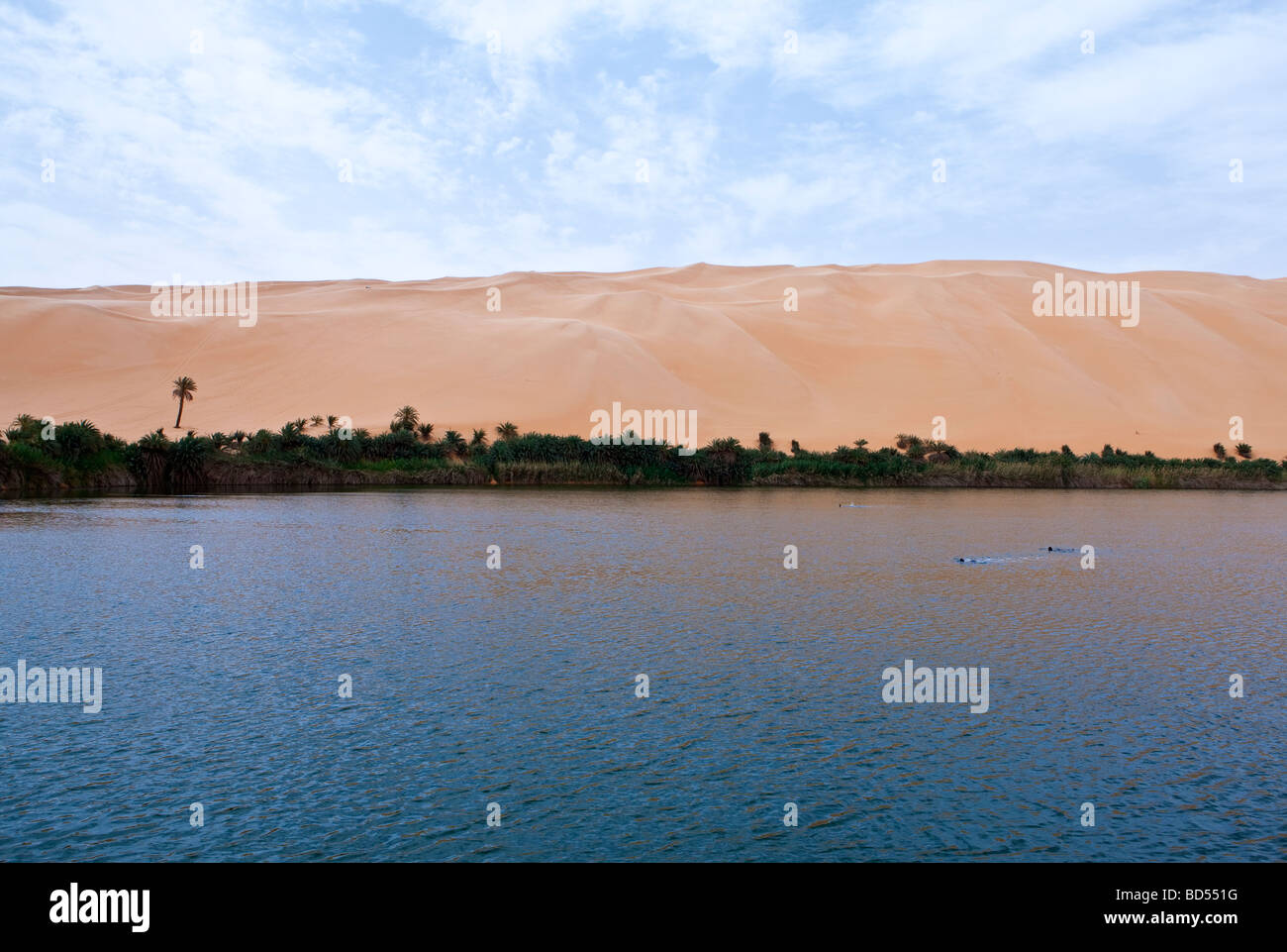 Libya Sahara desert the Ubari lakes area Stock Photo - Alamy
