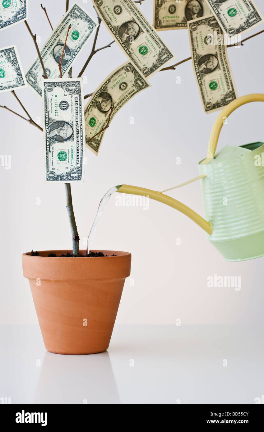 Money growing hi-res stock photography and images - Alamy