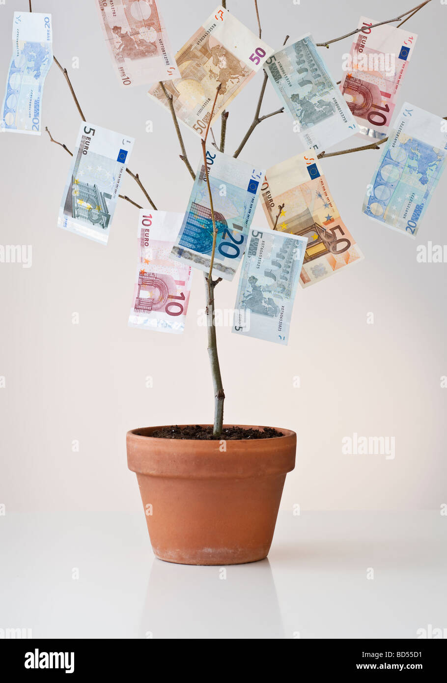 Money growing in a pot Stock Photo - Alamy