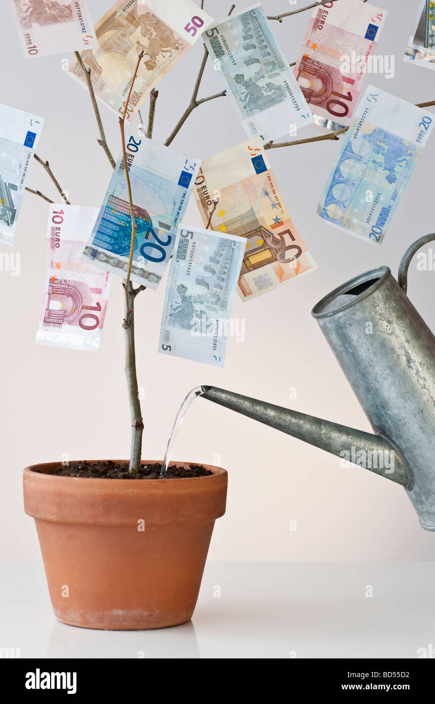 Money growing in a pot Stock Photo - Alamy