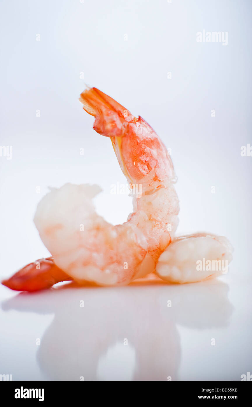 Shrimp hi-res stock photography and images - Alamy