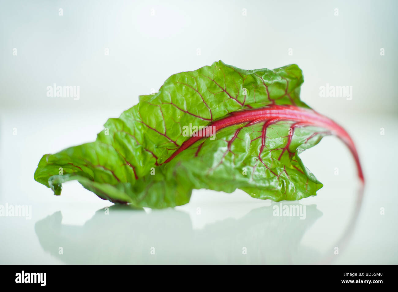 Swiss chards hi-res stock photography and images - Alamy