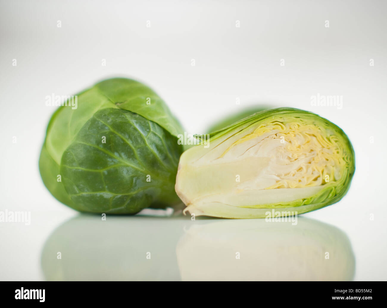 Two sprouts hi-res stock photography and images - Alamy
