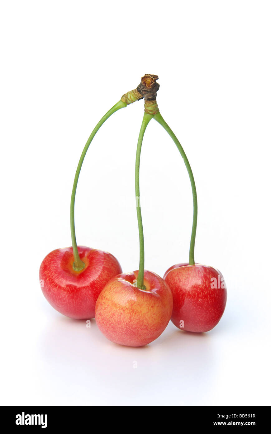 Kirsche cherry 10 Stock Photo - Alamy